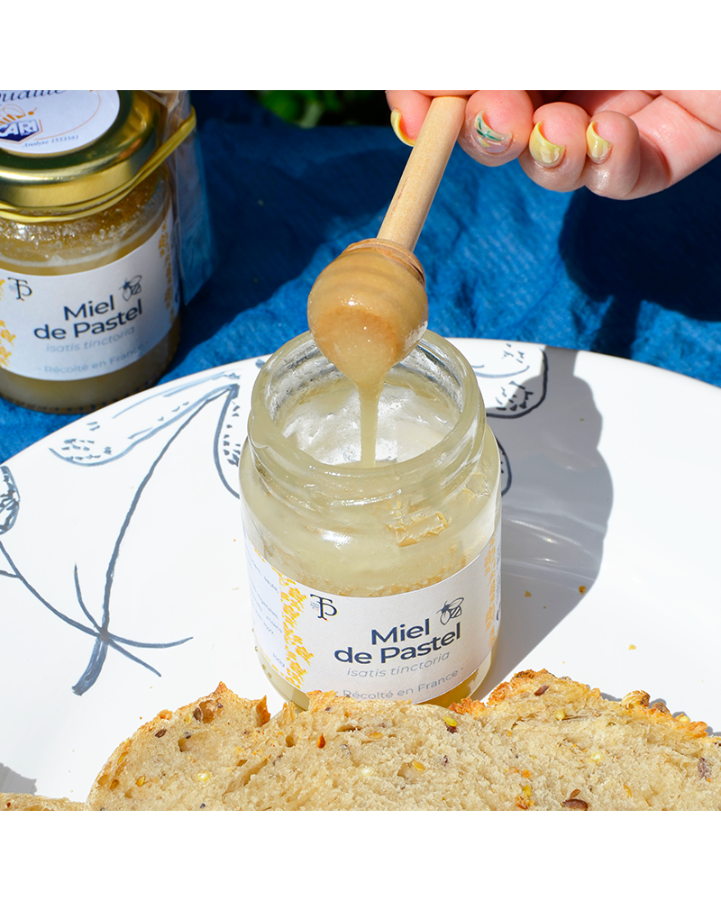 Miel de pastel - Pot en verre 100g