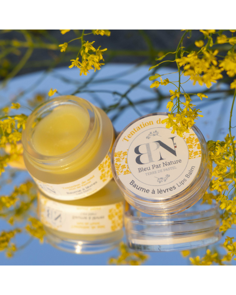 Baume à Lèvres Tentation de Miel - Bleu par Nature® - Terre de Pastel